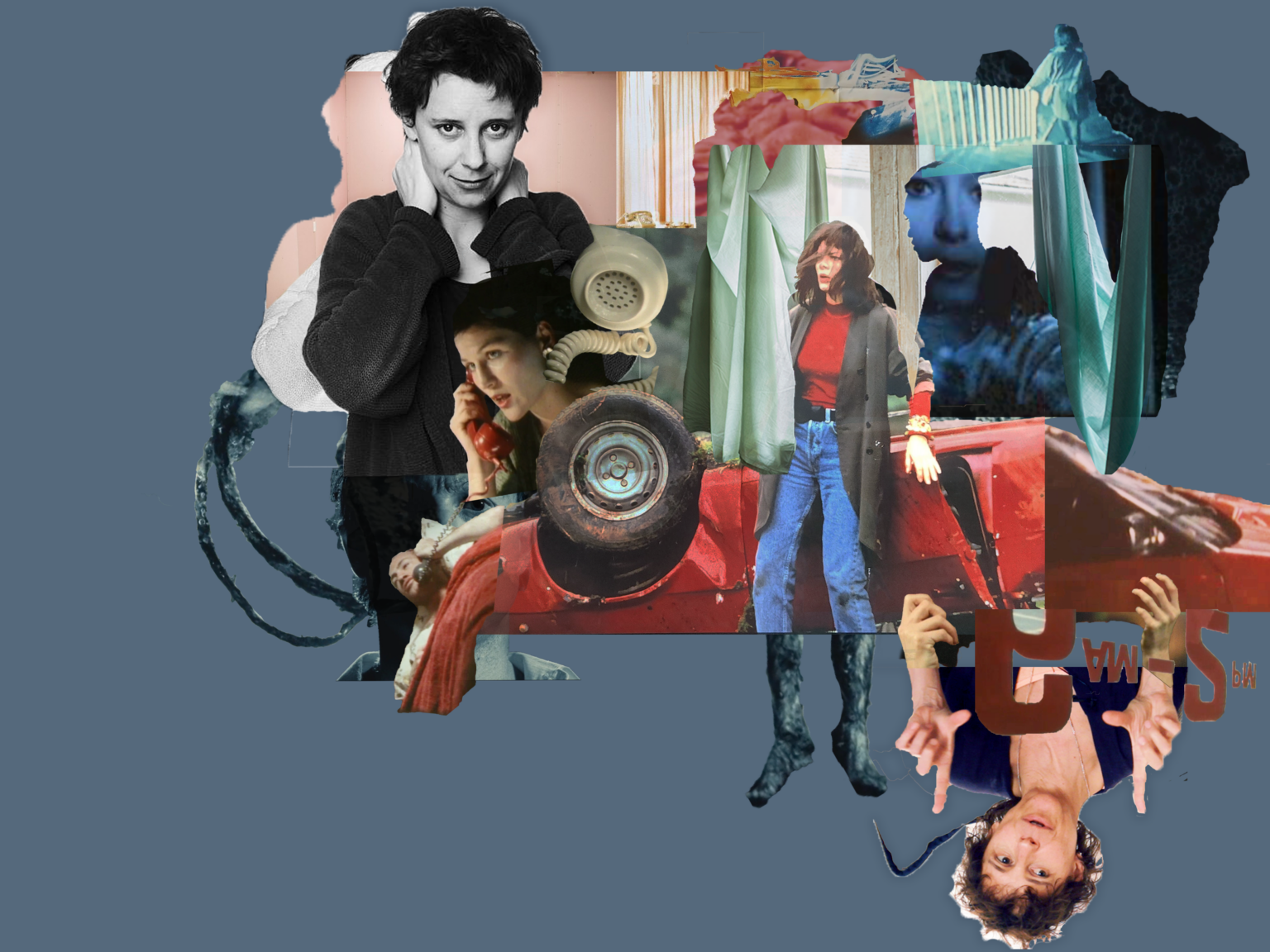 Alison Maclean: Symbols of the Domestic Space - Fountaindale Public Library