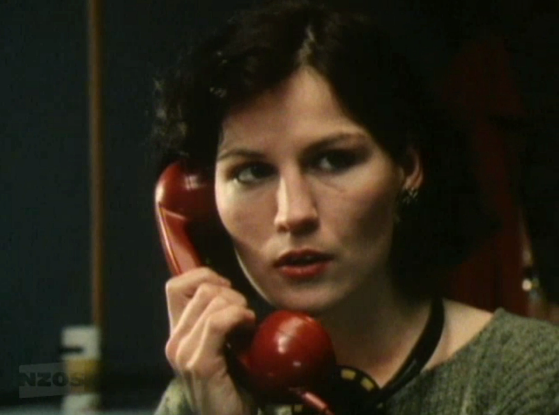 Alison Maclean: Symbols of the Domestic Space - Fountaindale Public Library