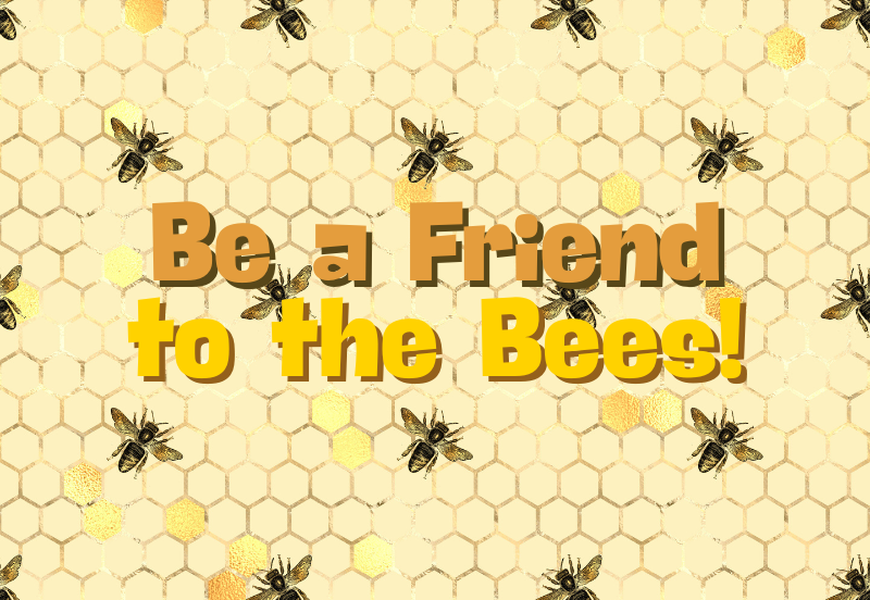 Be a Friend to the Bees: Protecting Pollinators and Rehoming Swarms ...