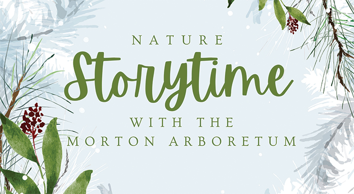 Fountaindale Public Library – Bolingbrook, Illinois • 630-759-2102