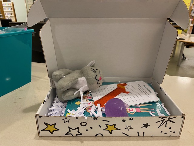 Tween Book Boxes Are Here - Fountaindale Public Library