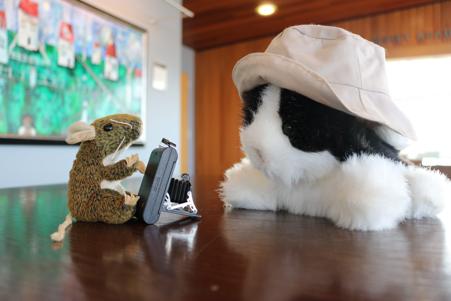 The Great Adventures of Michu Michu and Library Mouse - Fountaindale ...