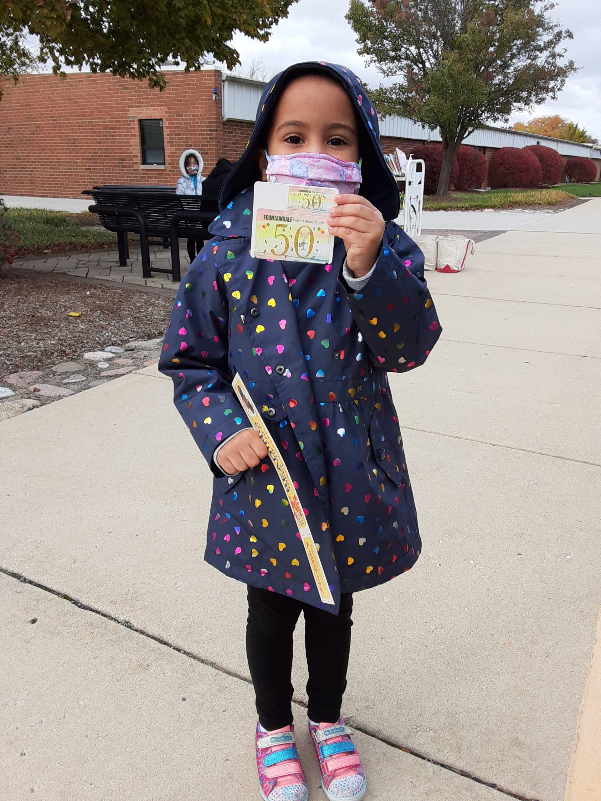 Student Success Library Cards for Valley View Students - Fountaindale ...