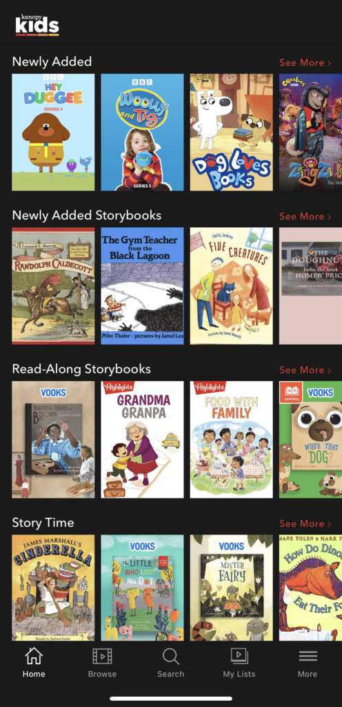 A Digital Library for All Ages - Fountaindale Public Library